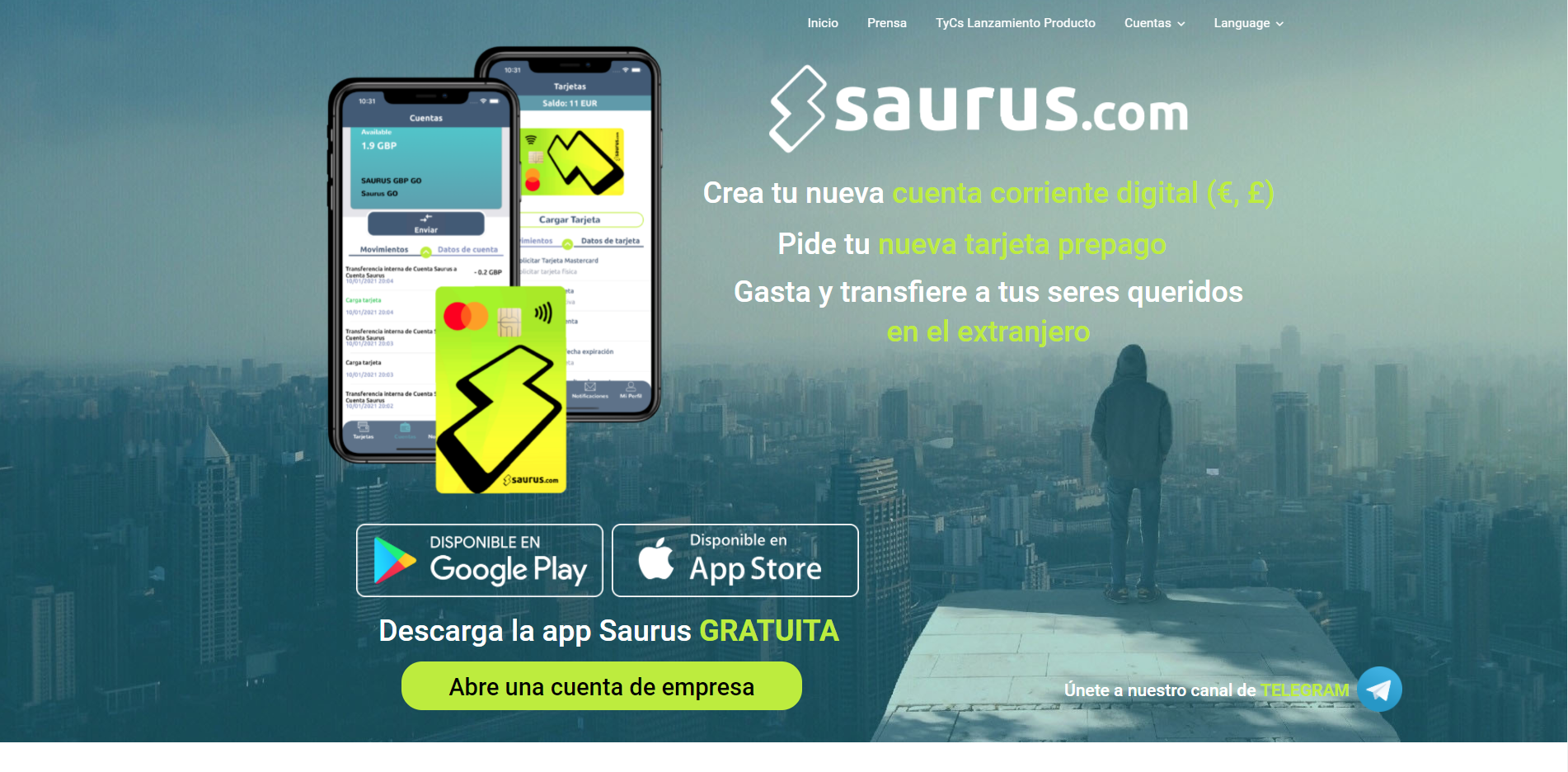 Portfolio Details - Saurus